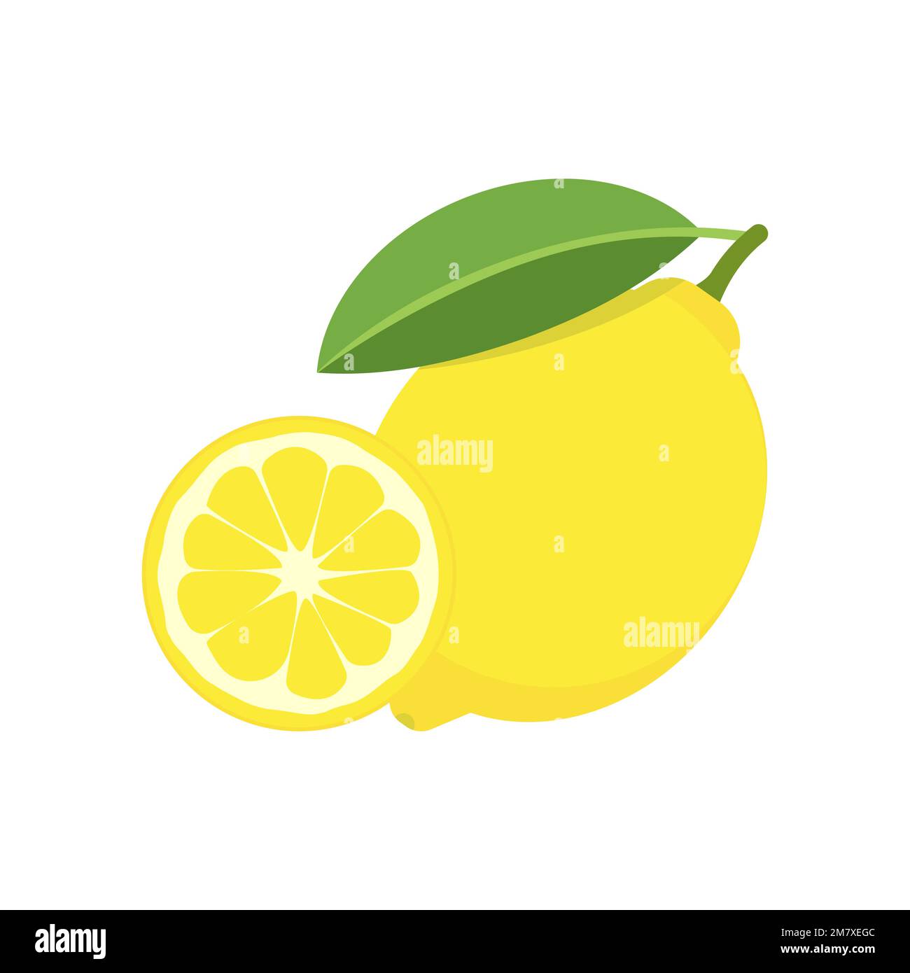 Fresh lemon fruits isolated on white background. Vector illustration ...