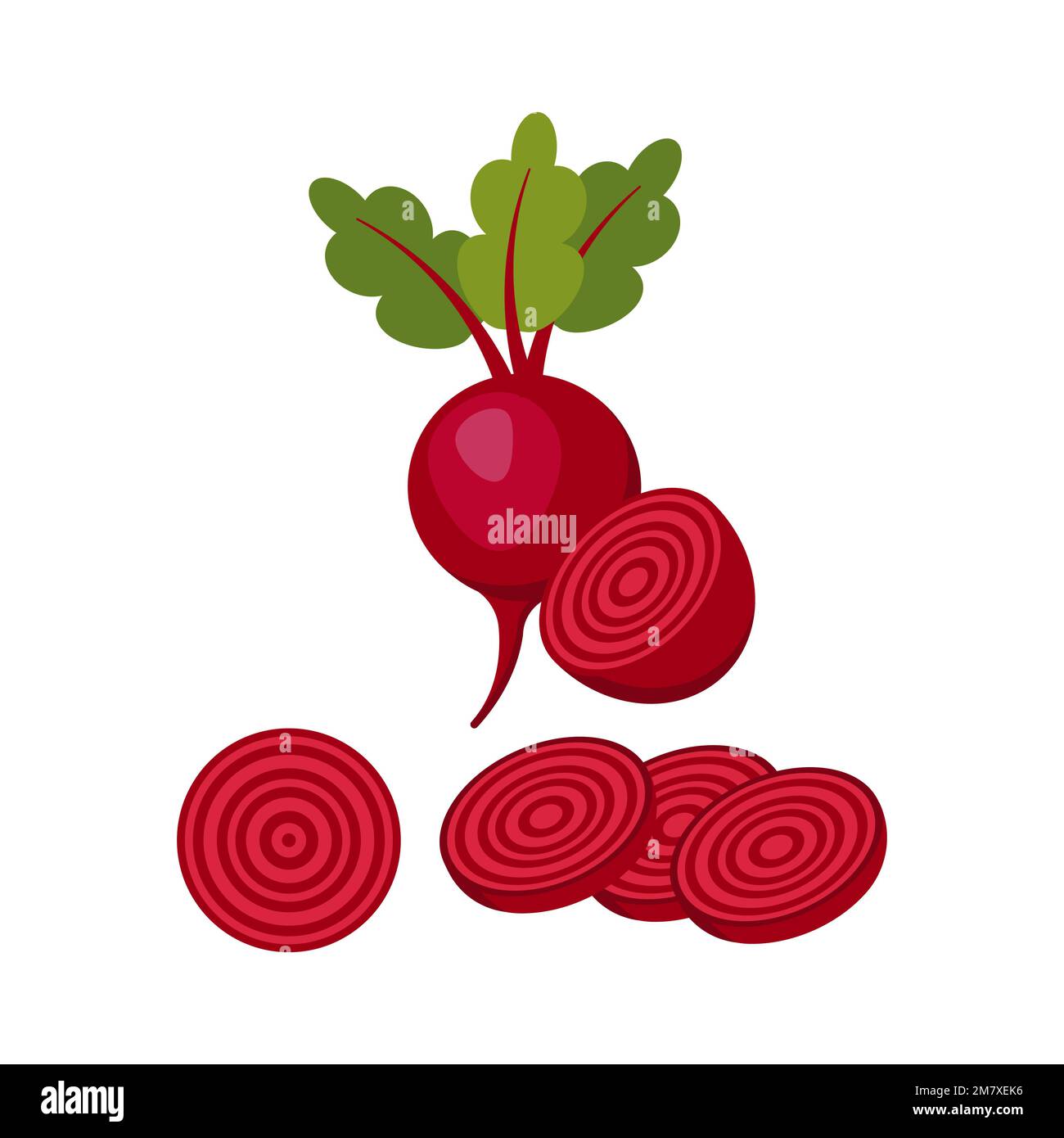 beet isolated on white background. Vector illustration. Eps 10 Stock ...