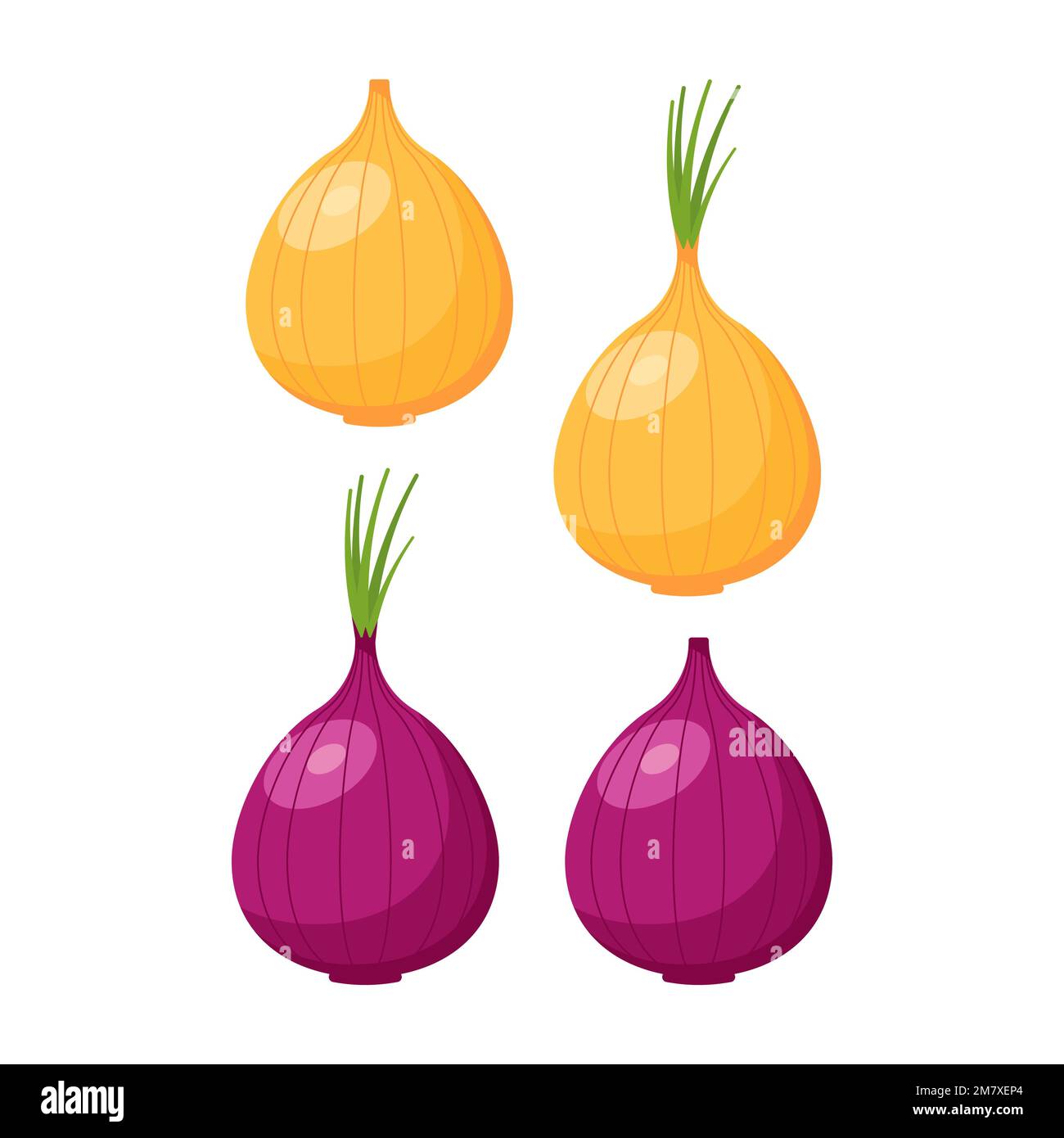 Onion icon set isolated on white background. Vector illustration. Eps ...