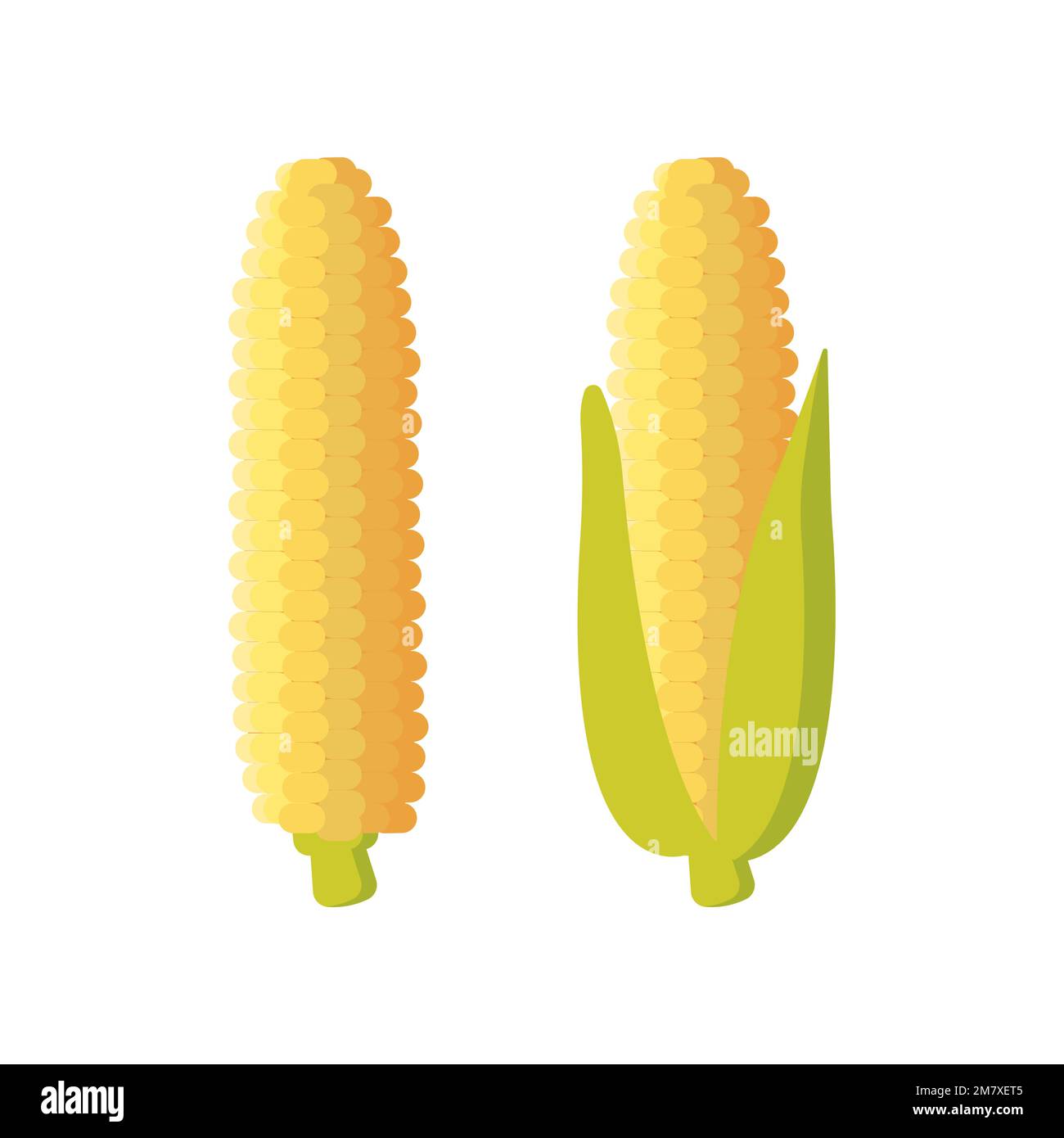 Corn icon. maize isolated on white background. Vector illustration. Eps ...