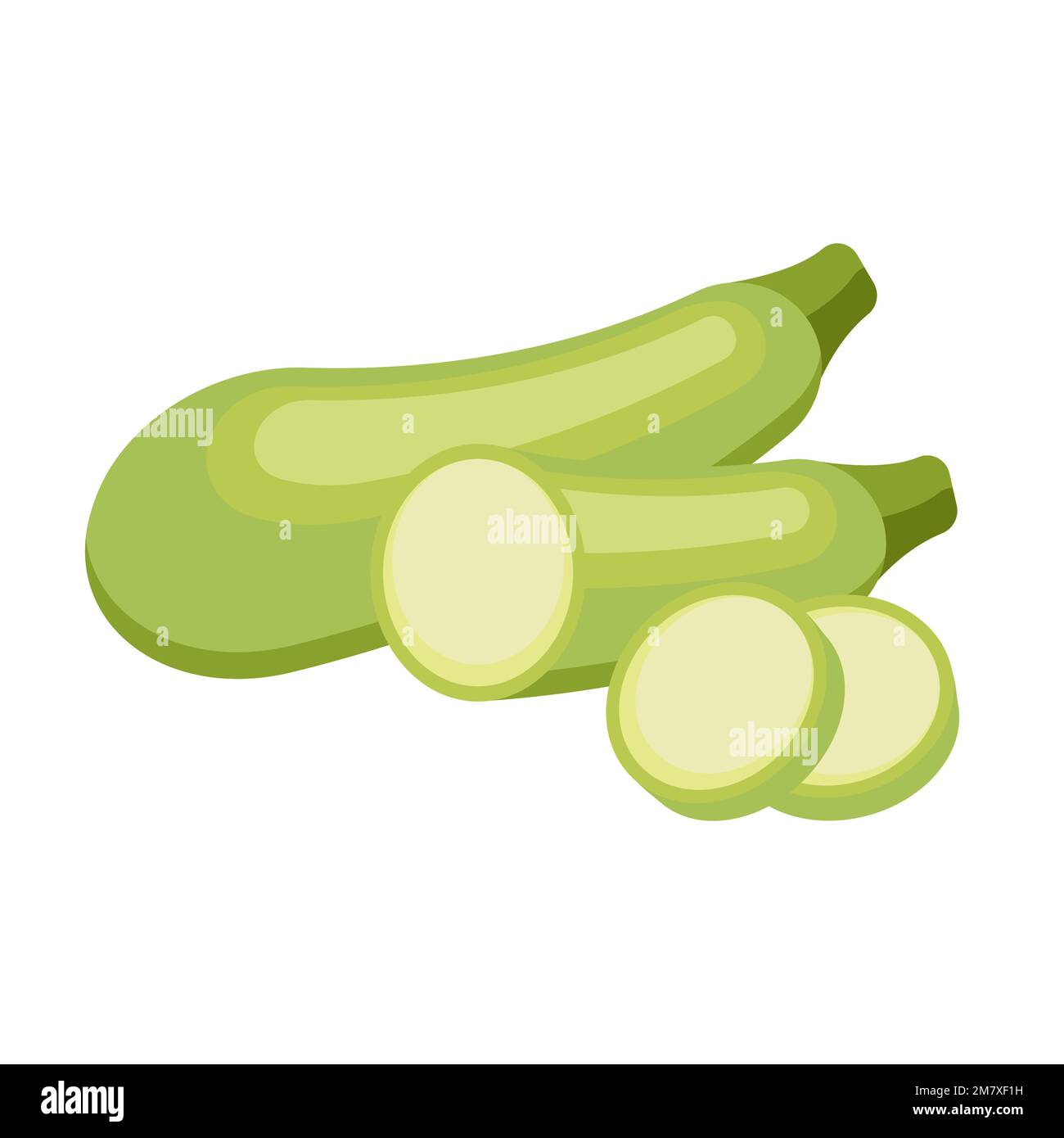 Green squash isolated on white background. Vector illustration. Eps 10 ...