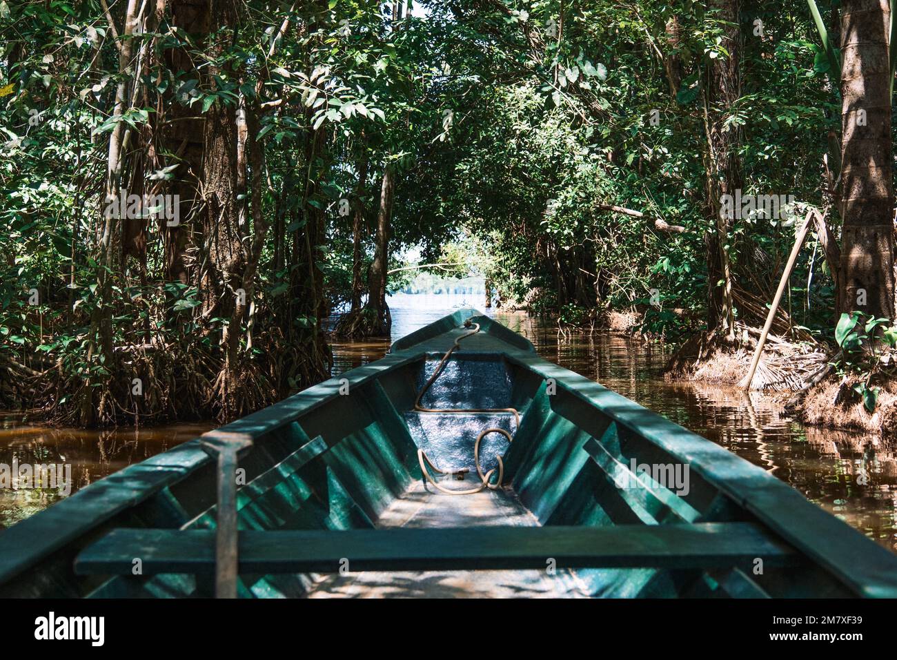A closeup view of a boat floating through the Amazon river between ...