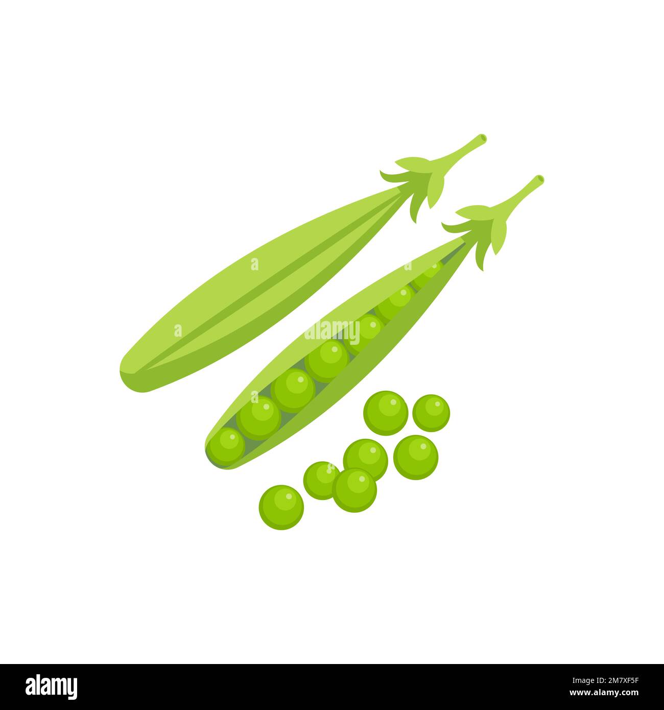 Pea isolated on white background. Vector illustration. Eps 10 Stock ...