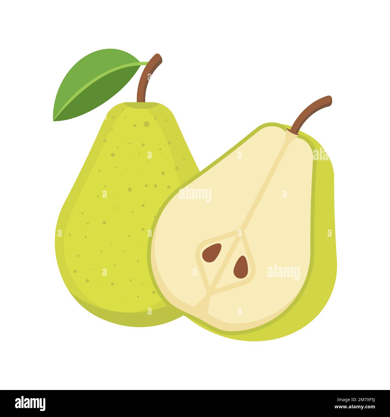 Two pears vector vectors hi-res stock photography and images - Alamy