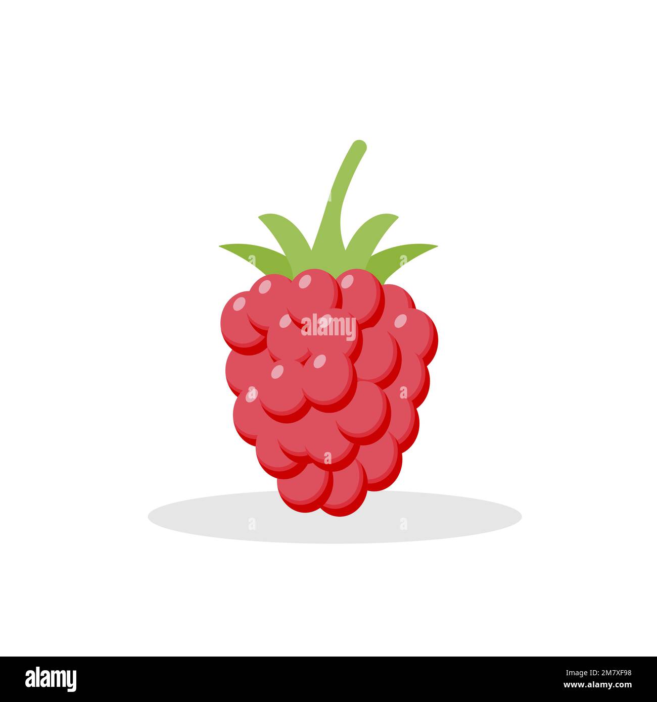 Raspberry with leaf isolated on white background. Vector illustration ...