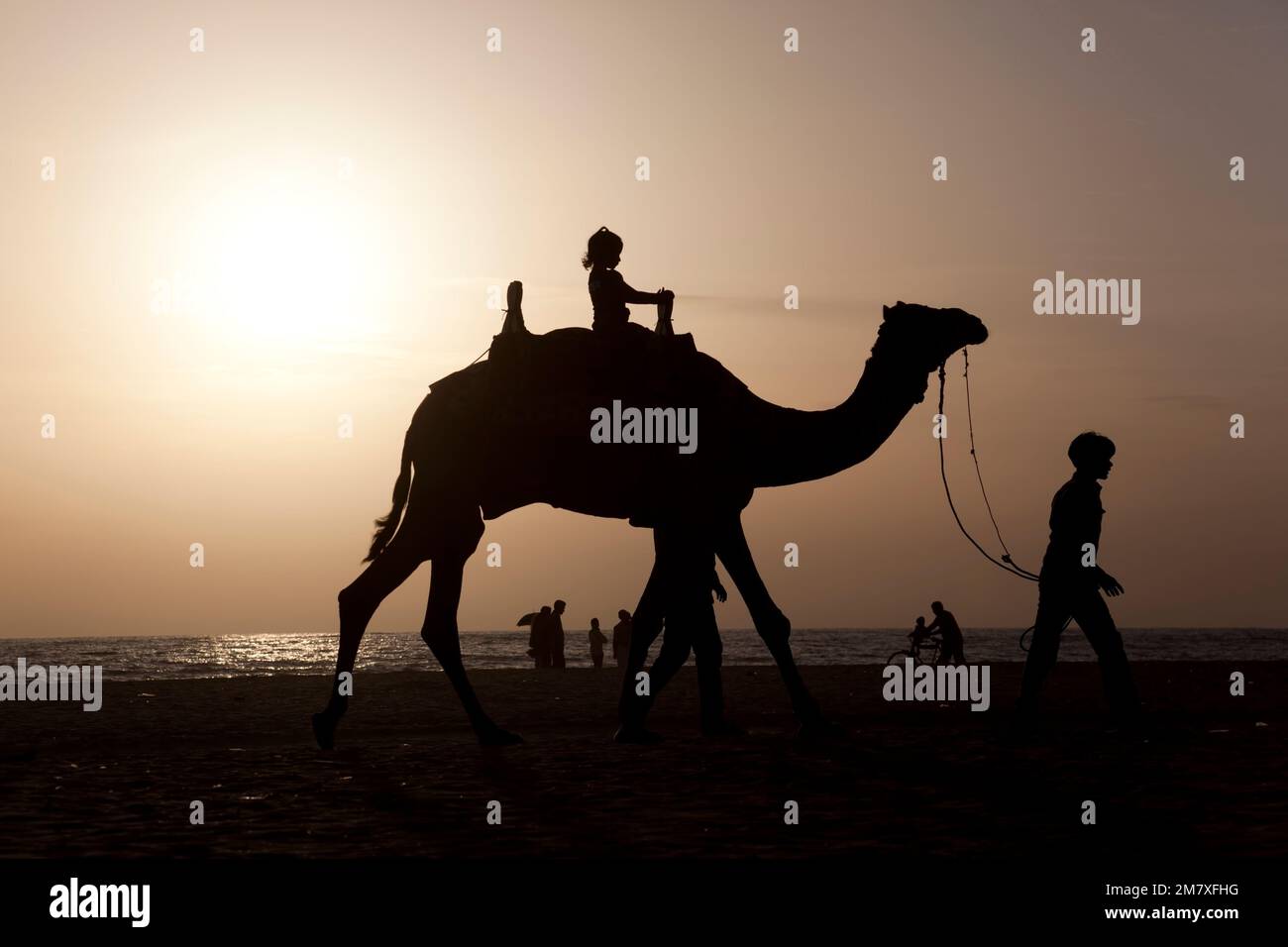 Girl riding a camel hi-res stock photography and images - Alamy