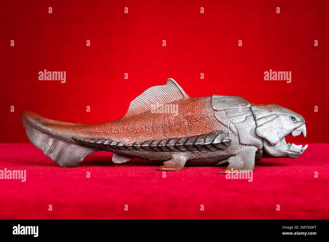 Dinichthys hi-res stock photography and images - Alamy