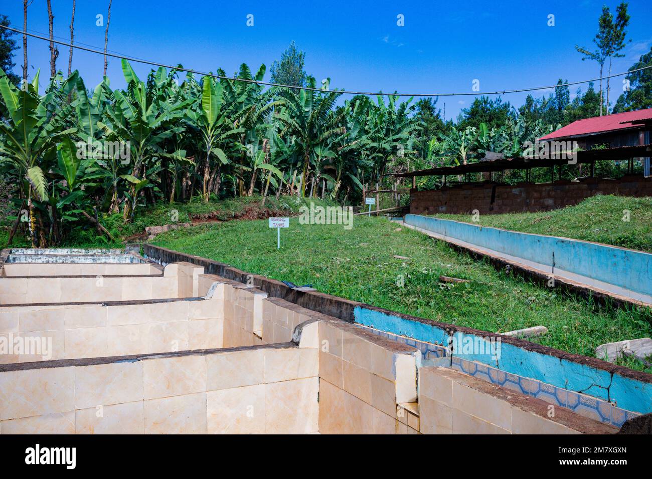 Muranga Coffee processing Industry structures exteriors landscapes in ...