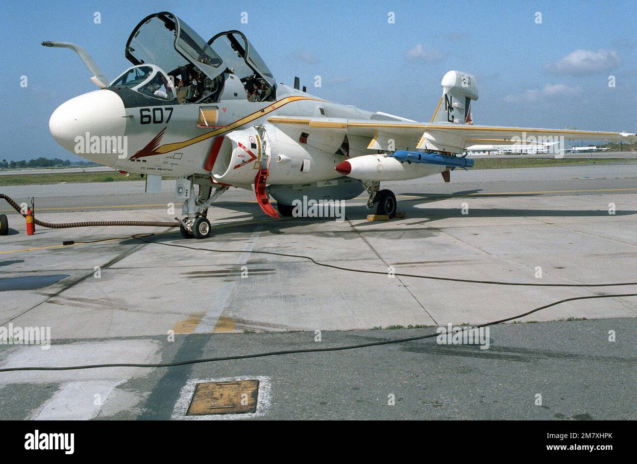 A left side view of a Tactical Electronic Warfare Squadron 134 (VAQ-134 ...
