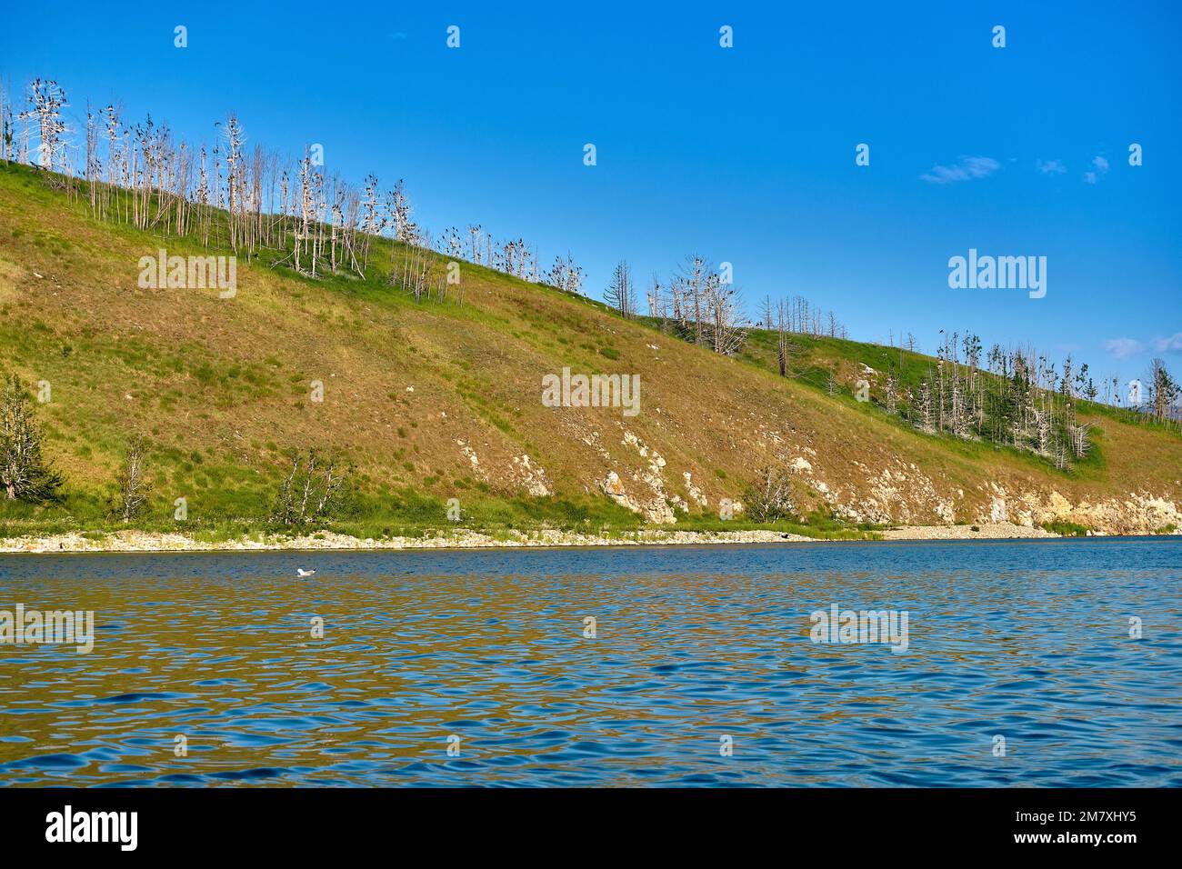 Barguzinsky Bay of Lake Baikal in the Buryat Republic in the daytime ...