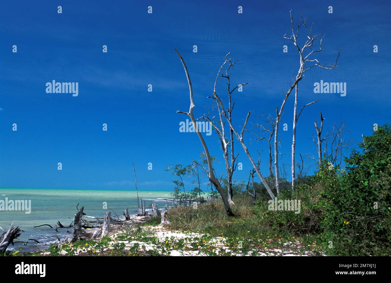 Mexico, Gulf Coast, Campeche, Champoton, Campeche Stock Photo - Alamy