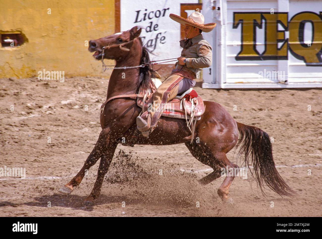 Charreada mexico hi-res stock photography and images - Alamy
