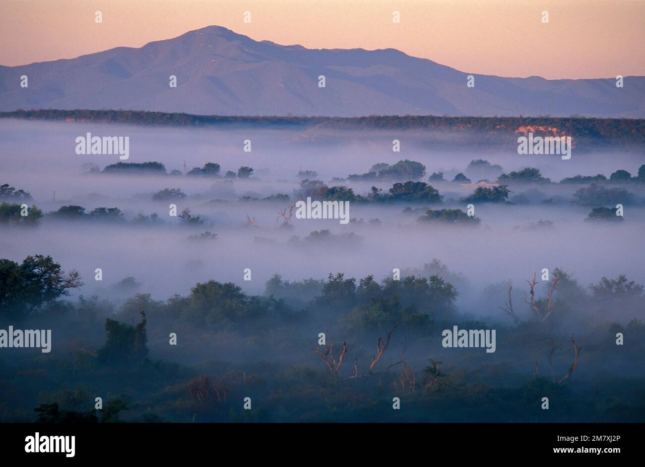 Sierra madre occidenta sinaloa hi-res stock photography and images - Alamy
