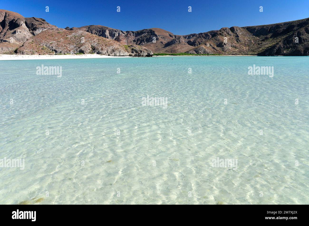 Mexico, Baja California Sur, la Paz, Balandra Beach Stock Photo - Alamy