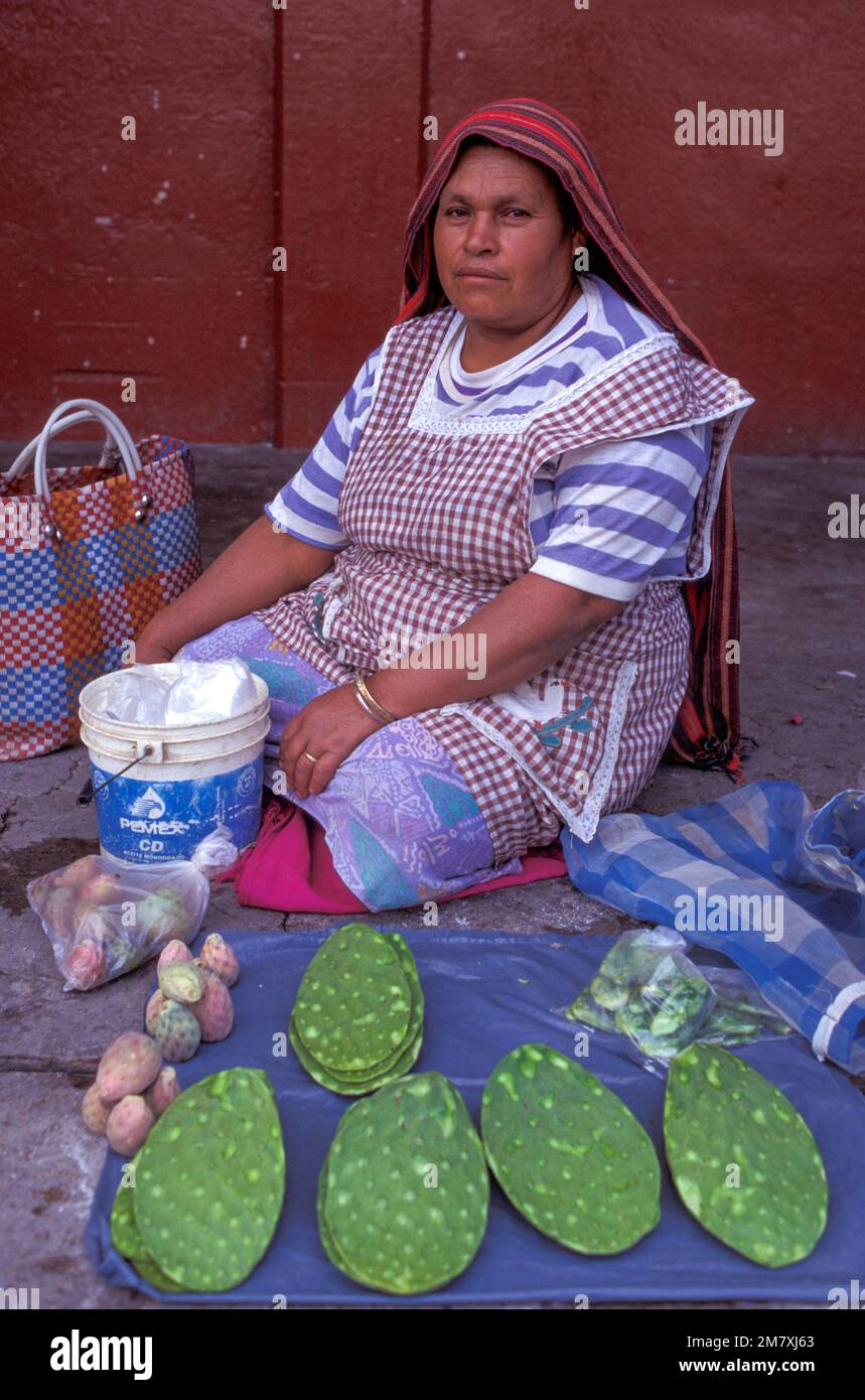 Mexico, Guanajuato, Guanajuato city, woman, vendor, Nopal, cactus ...