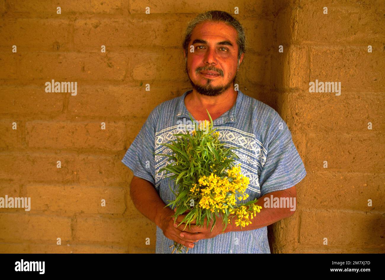 Shaman Mision del Sol Resort & Spa Cuernavaca Morelos Stock Photo - Alamy