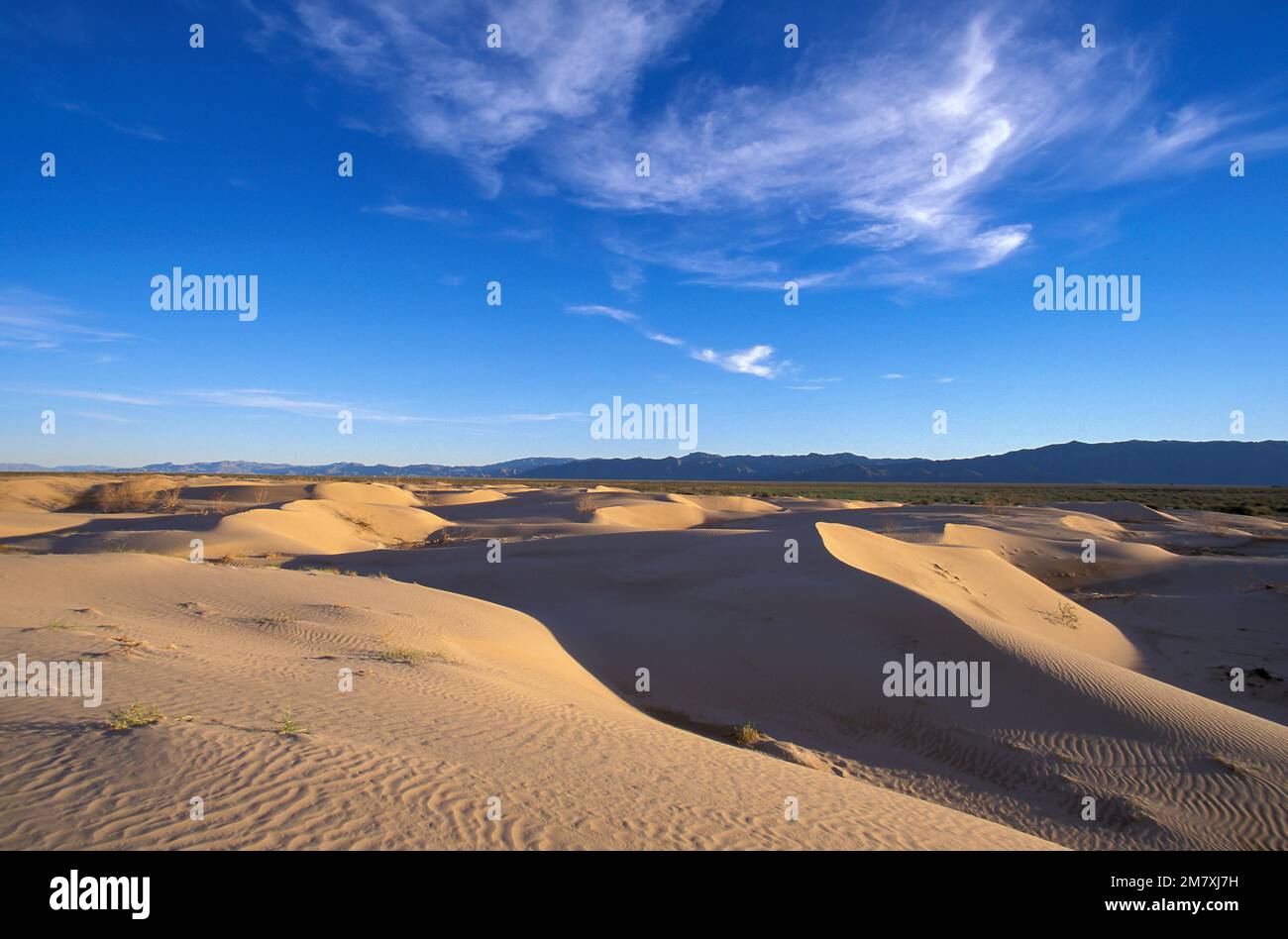 Mexico, Coahuila Sand Dunes Stock Photo - Alamy