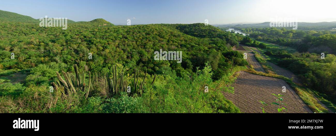Mexico, Chihuahua, Sierra Madre Occidenta Sinaloa, El Fuerte river ...