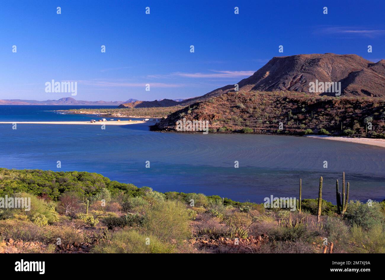 Mexico, Baja California, Sur, Bahia Concepcion Stock Photo - Alamy