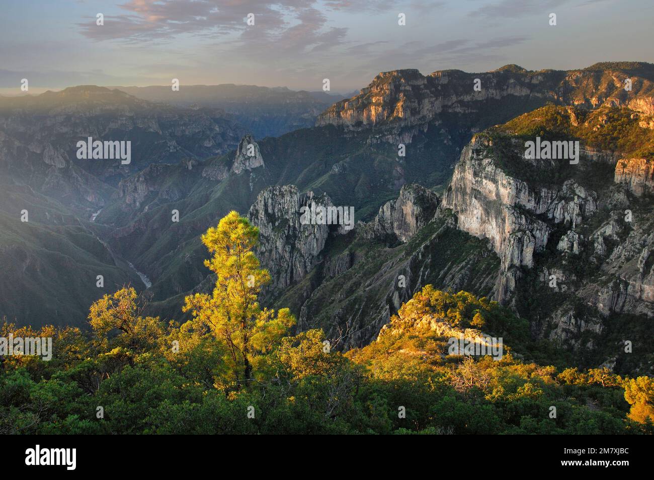 Mexico, Chihuahua, Sierra Madre Occidental, Copper Canyon, Mirador, San ...