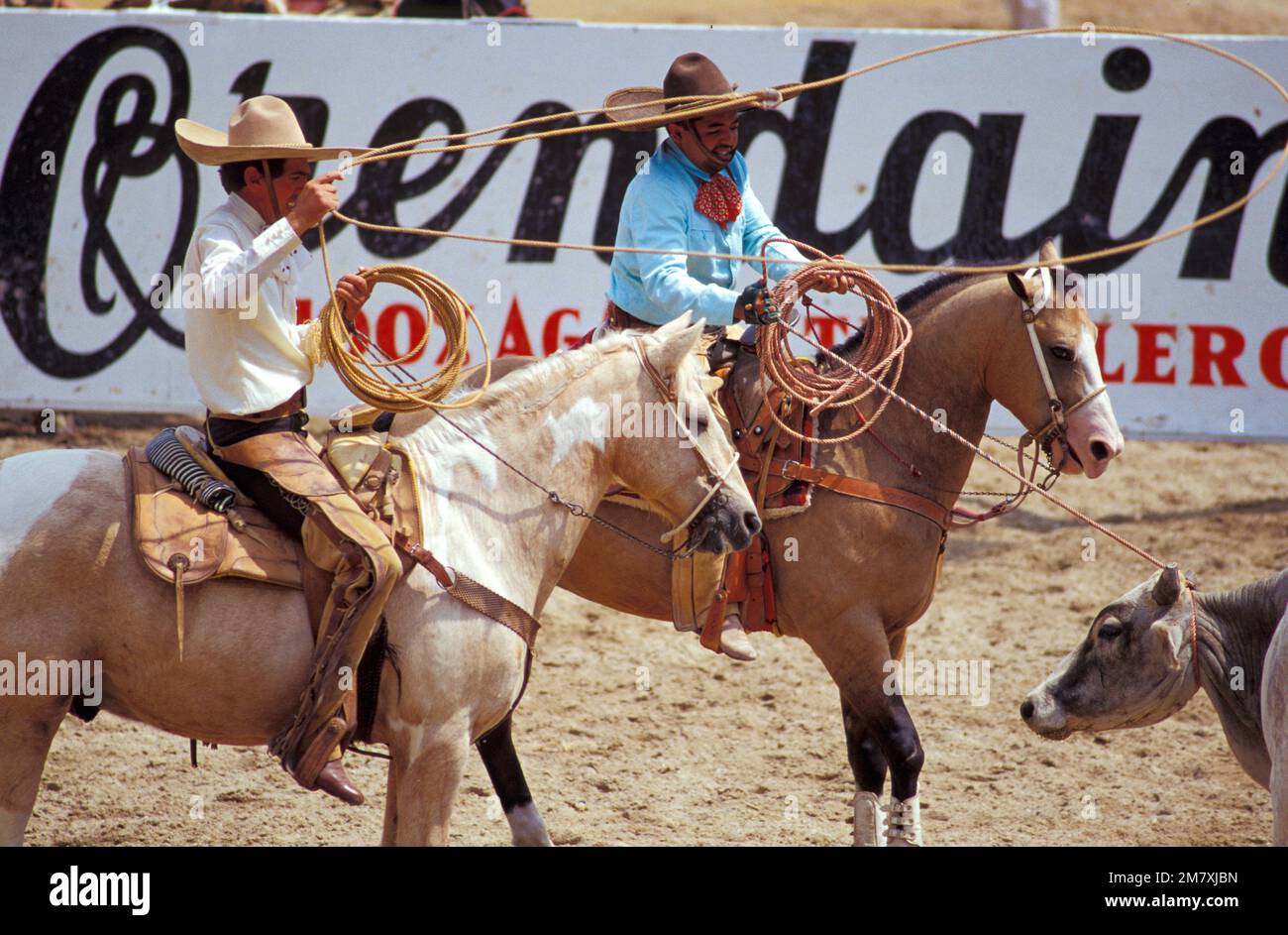 Charreada mexico hi-res stock photography and images - Alamy