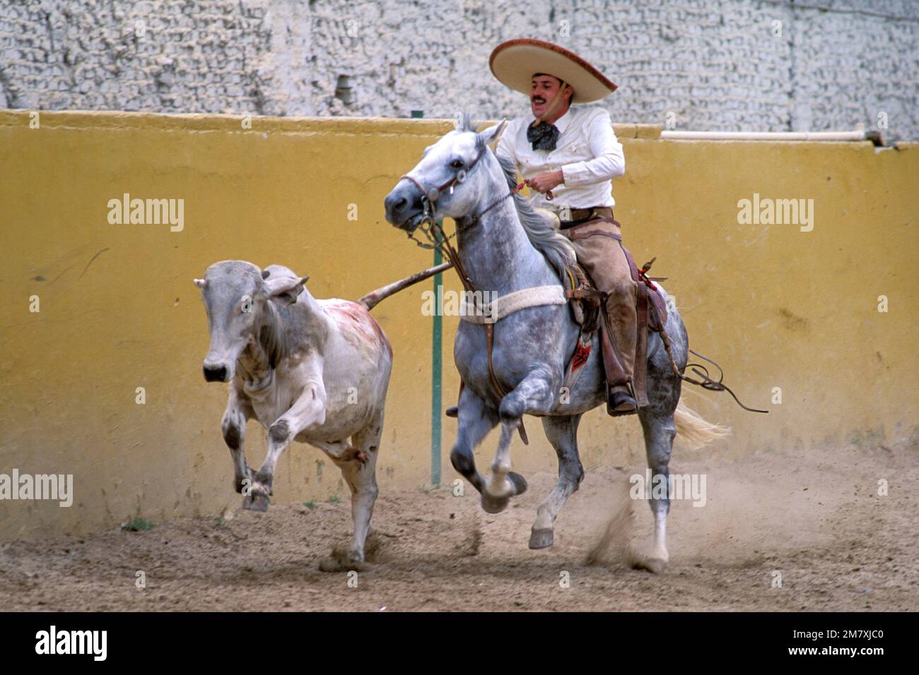 Charreada mexico hi-res stock photography and images - Alamy