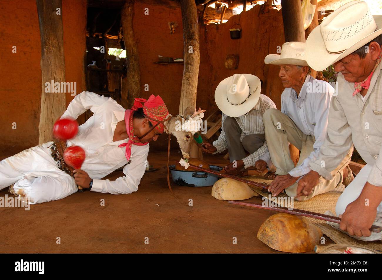 Mexico, Sinaloa, Sierra Madre Occidental, Copper Canyon, El Fuerte ...