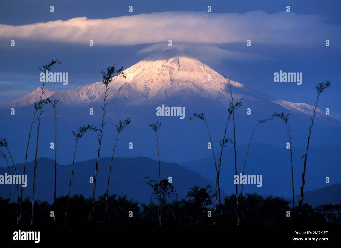 North America Mexico Vera Cruz Fortin De Las Flores Pico De Orizaba