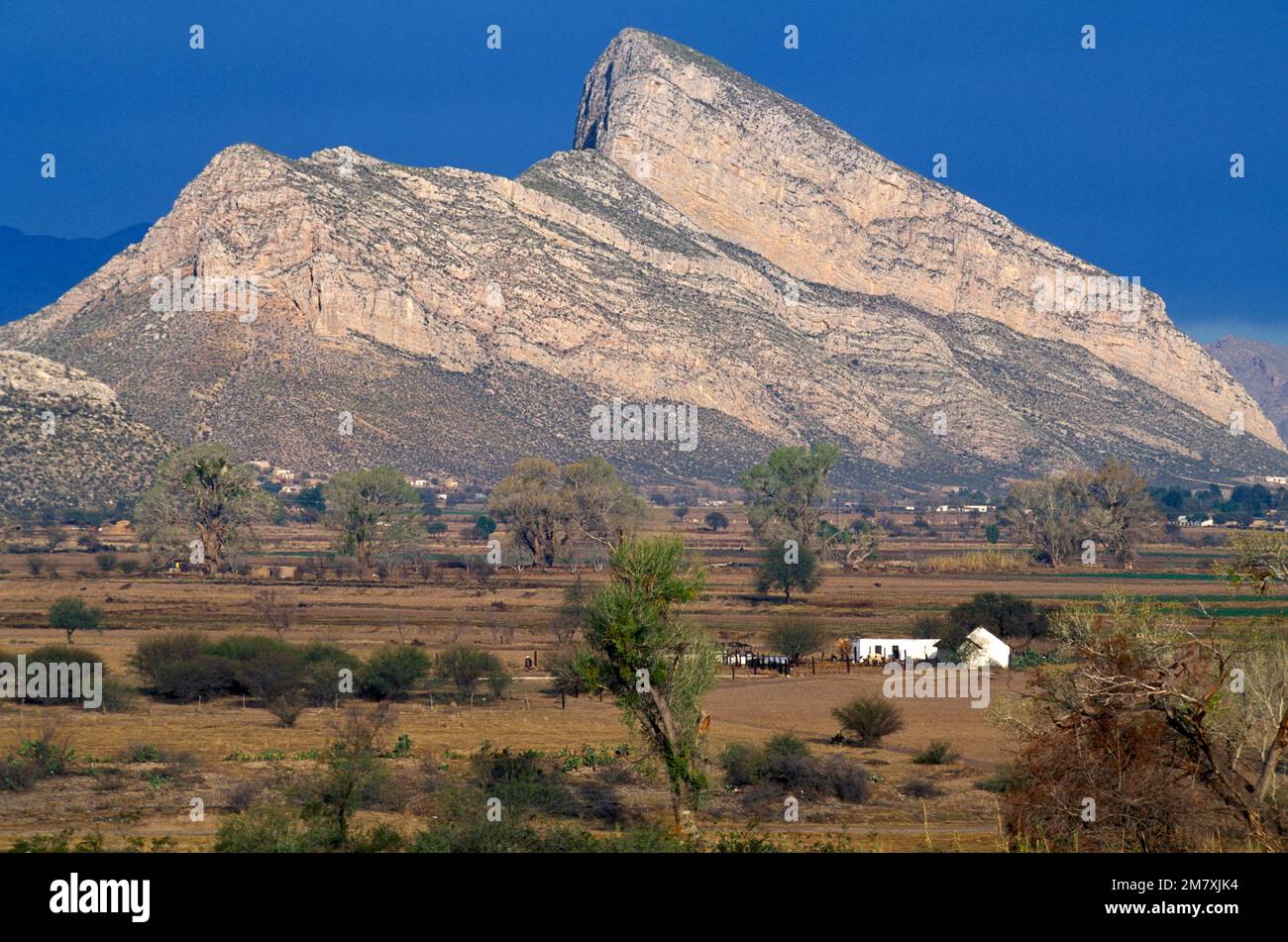 Palacio gomez hi-res stock photography and images - Alamy