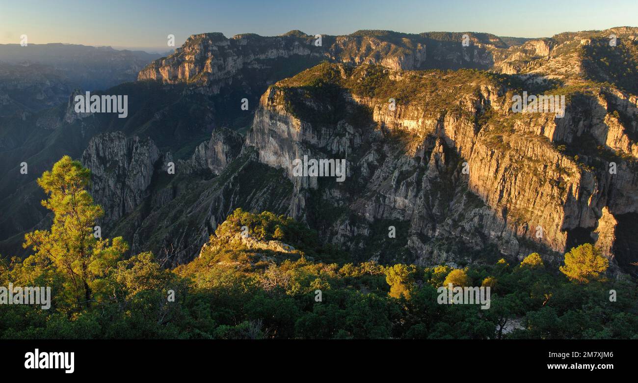 Mexico, Chihuahua, Sierra Madre Occidental, Copper Canyon Stock Photo ...