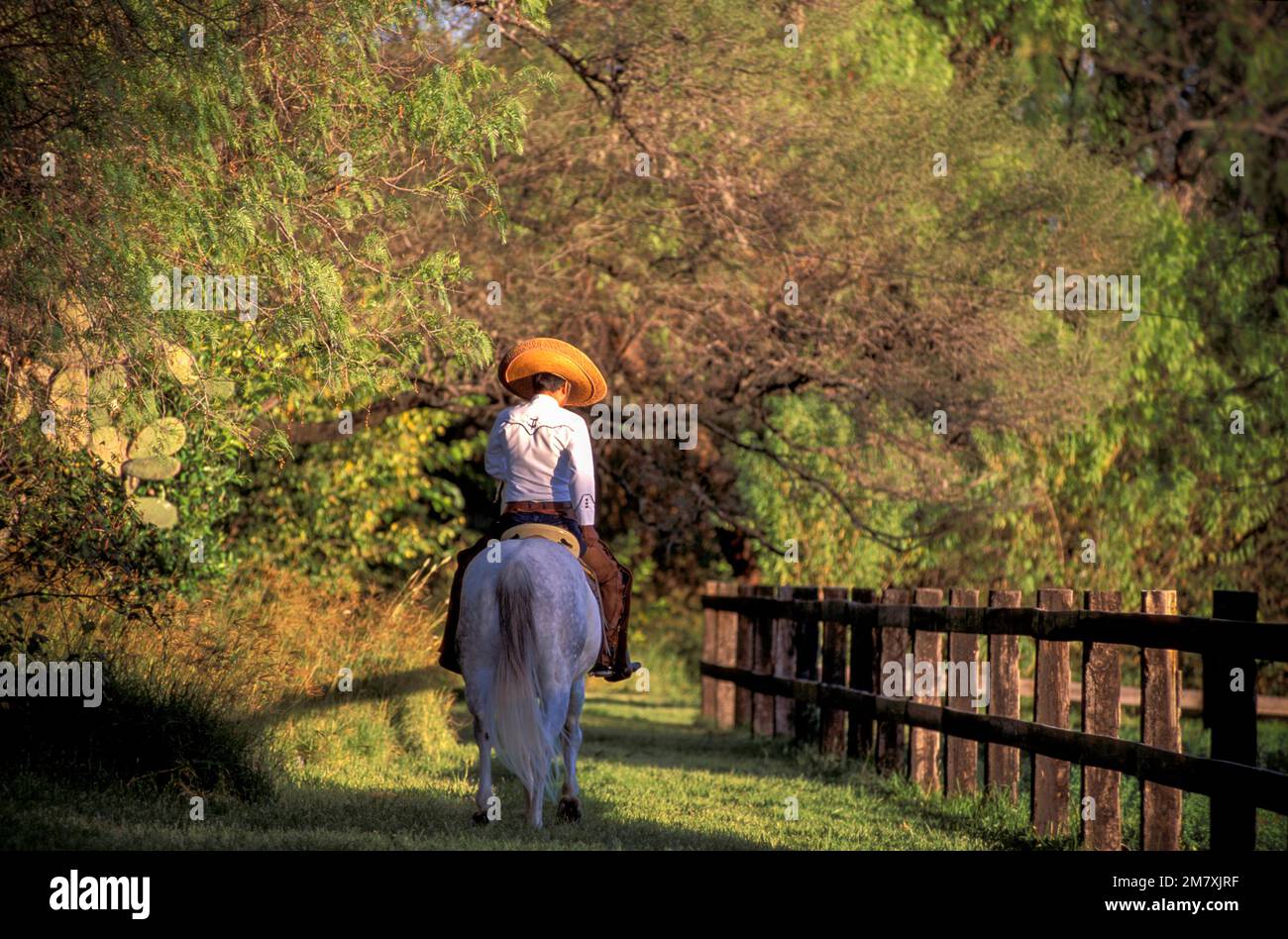 Sepulveda mexico hi-res stock photography and images - Alamy