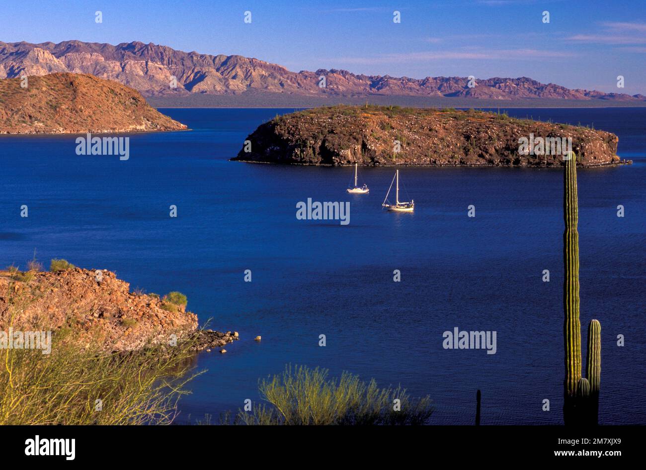 Mexico, Baja California, Sur, Bahia Concepcion, Mulegé Stock Photo - Alamy