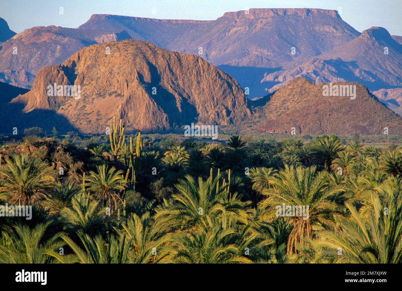Municipality of mulege hi-res stock photography and images - Alamy