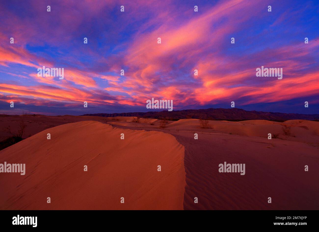 Mexico, Coahuila Sand Dunes Stock Photo - Alamy