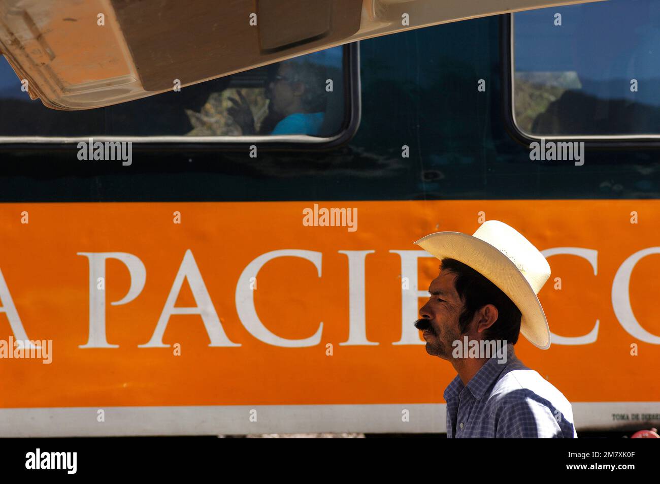 North America, Mexico, Chihuahua, Sierra Madre Occidental, Barranca del ...