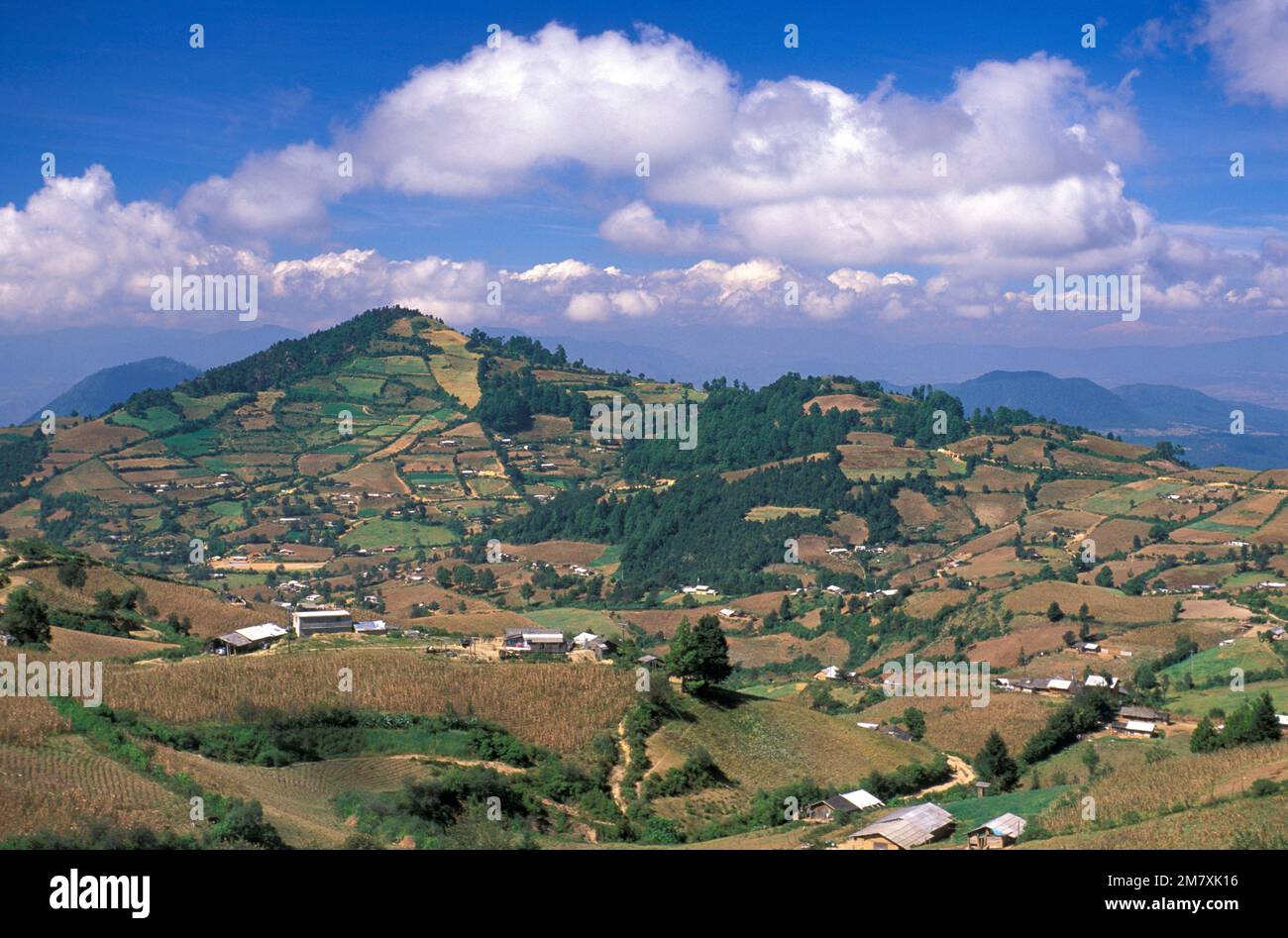 Mexico, Michoacan,Angangueo, hills Stock Photo - Alamy