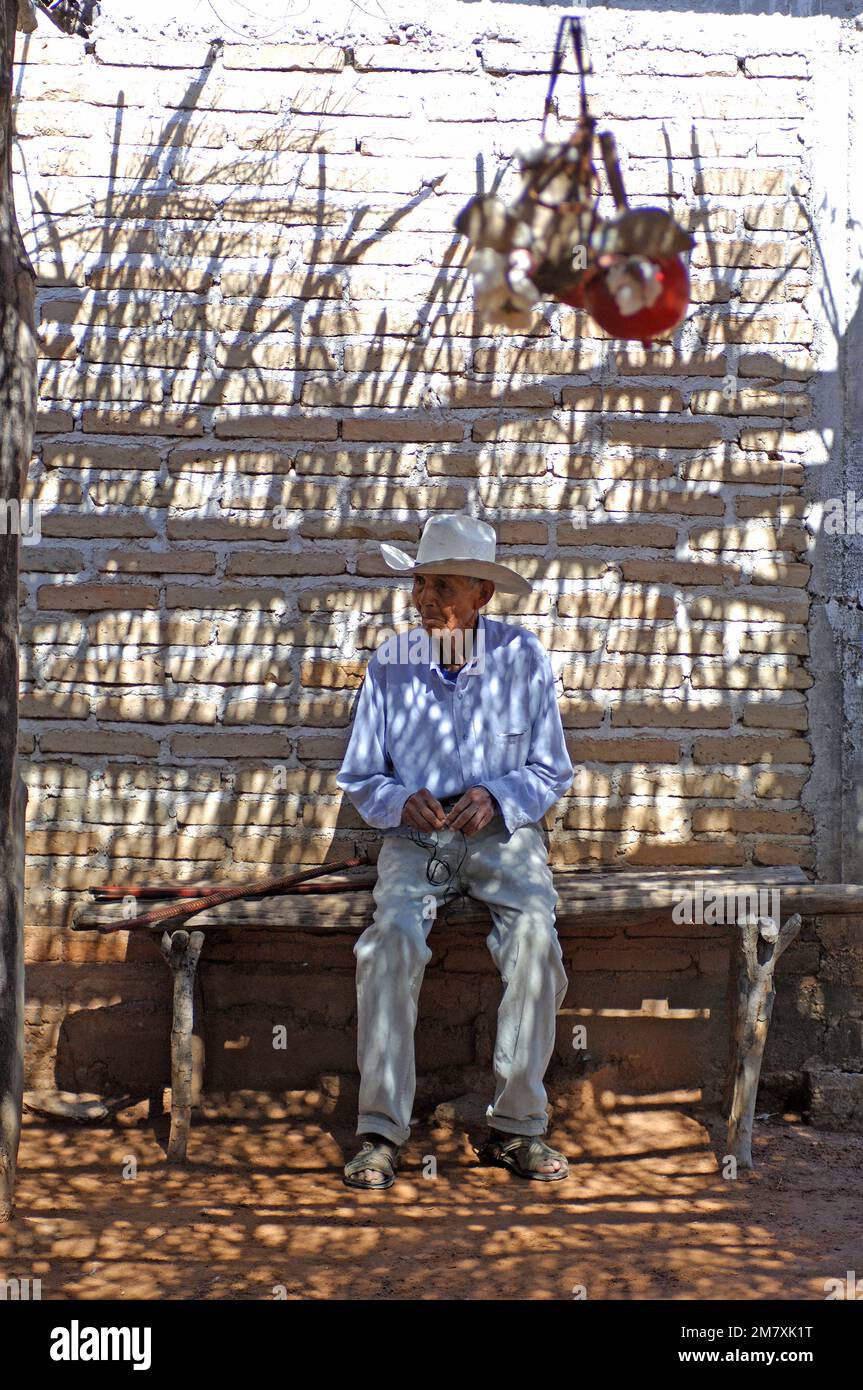 Mexico, Sinaloa, Sierra Madre Occidental, Copper Canyon, El Fuerte ...