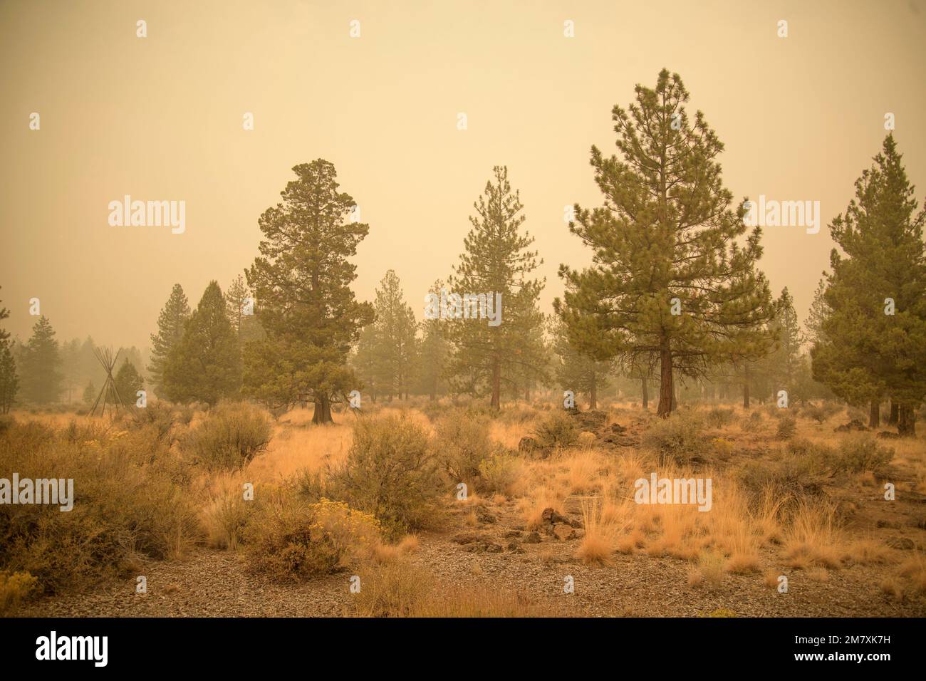 Smoke fire desert hi-res stock photography and images - Alamy