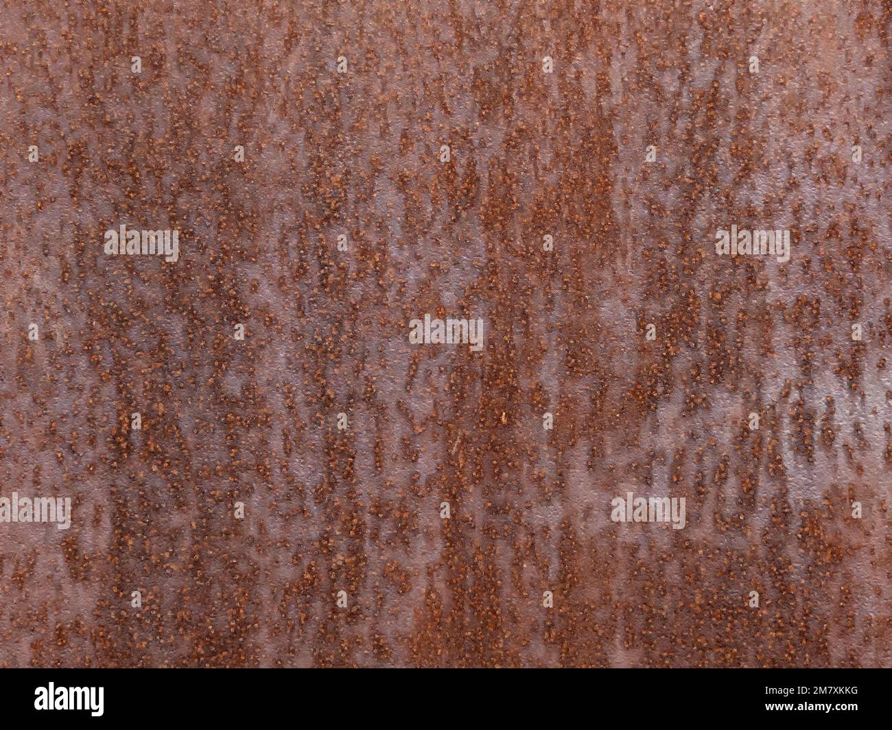 Close-up of surface of rusted metal as background Stock Photo - Alamy