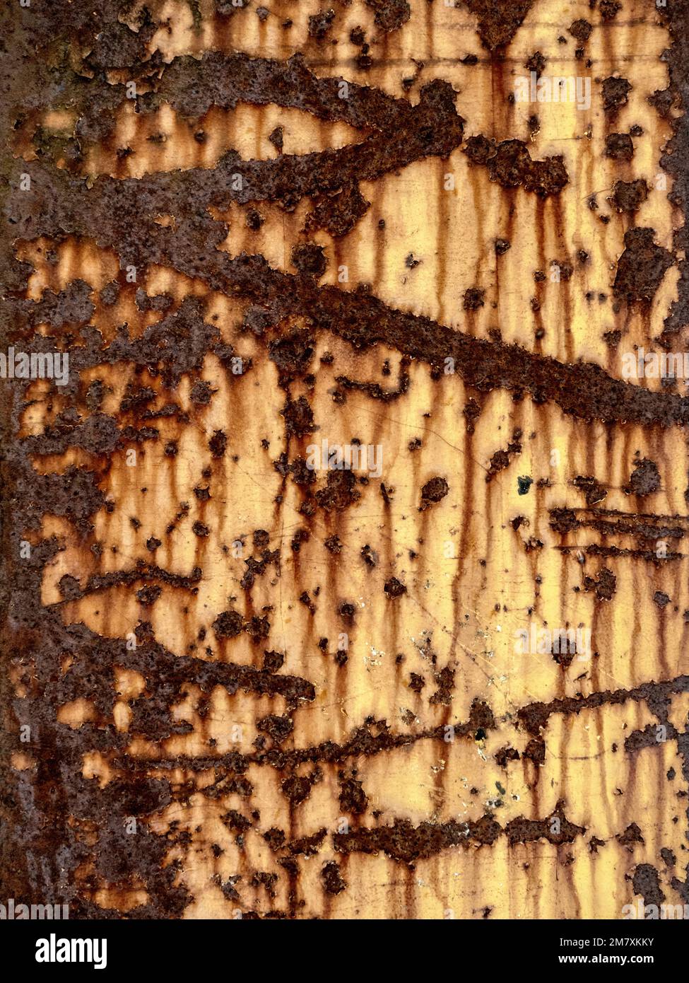 Close-up of surface of light yellow sheet metal with traces of rust as ...