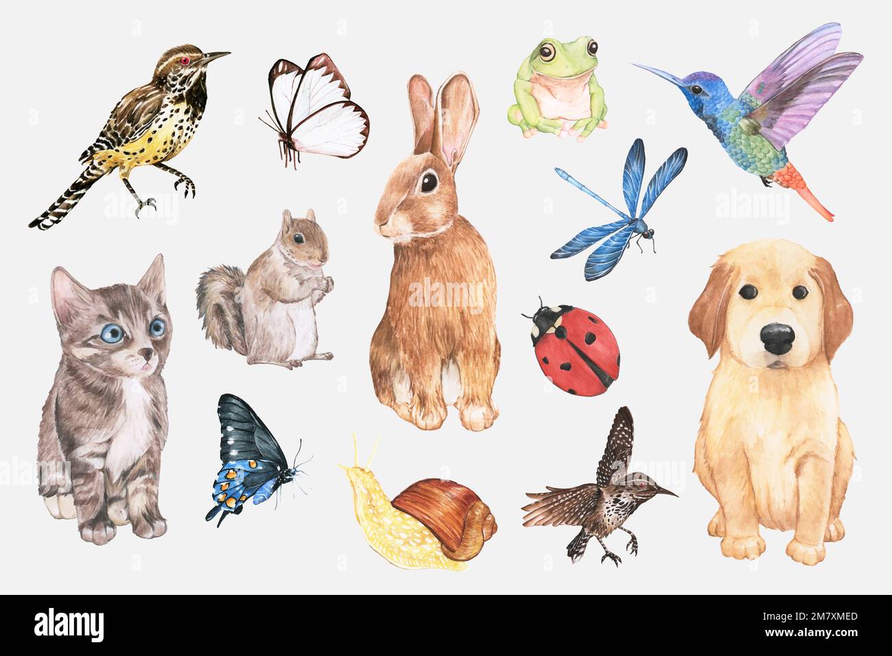 Cute watercolor animals and insects vector sticker set Stock Vector ...