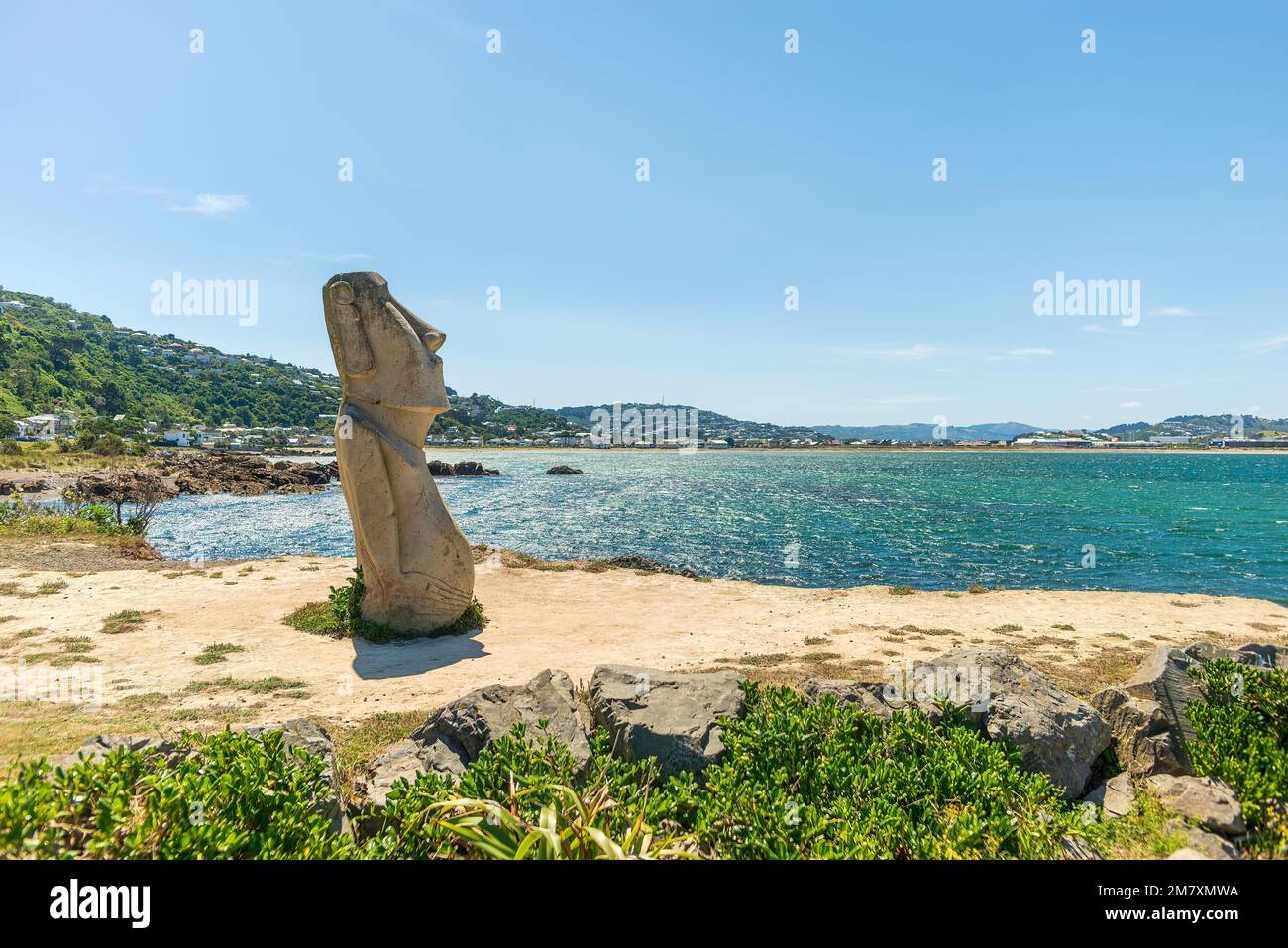A Moai statue on the sandy coast of Wellington in New Zealand faced the ...