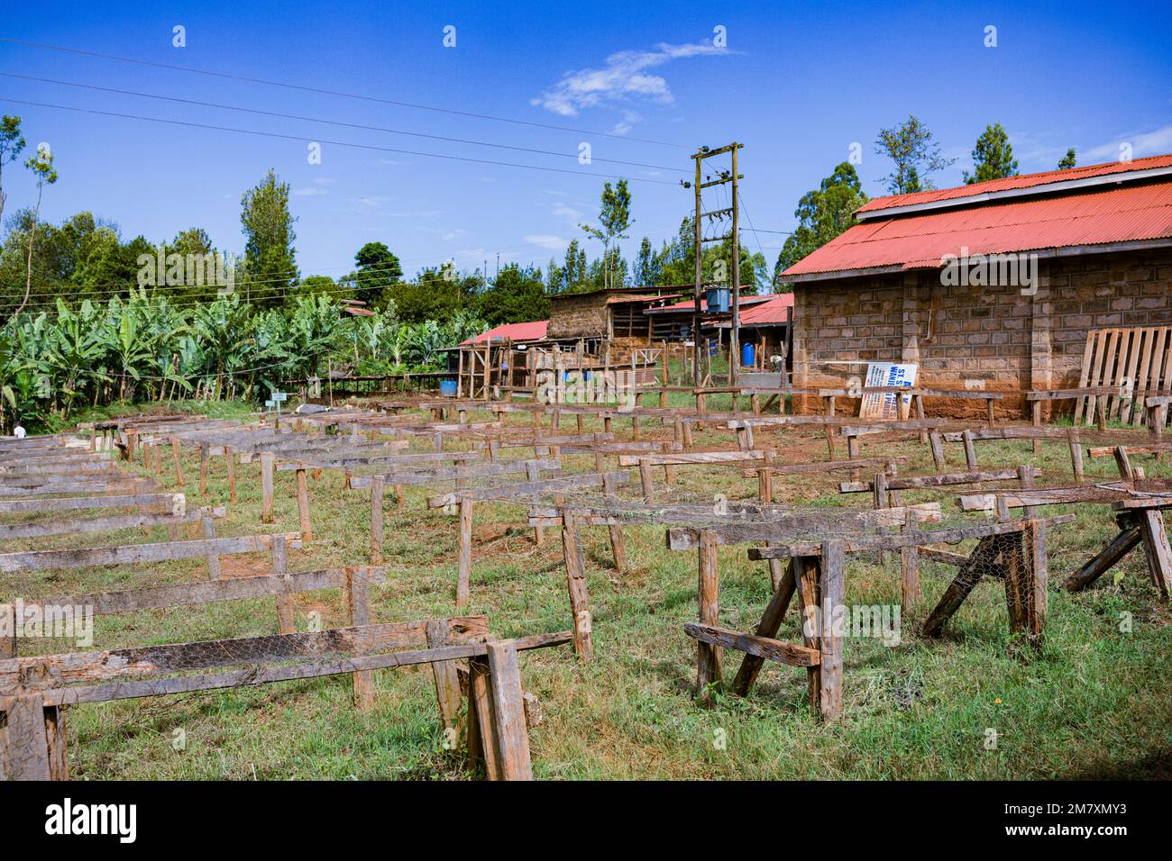Kenyan Green Houses Farm Coffee Processing Industry Landscapes Stock ...