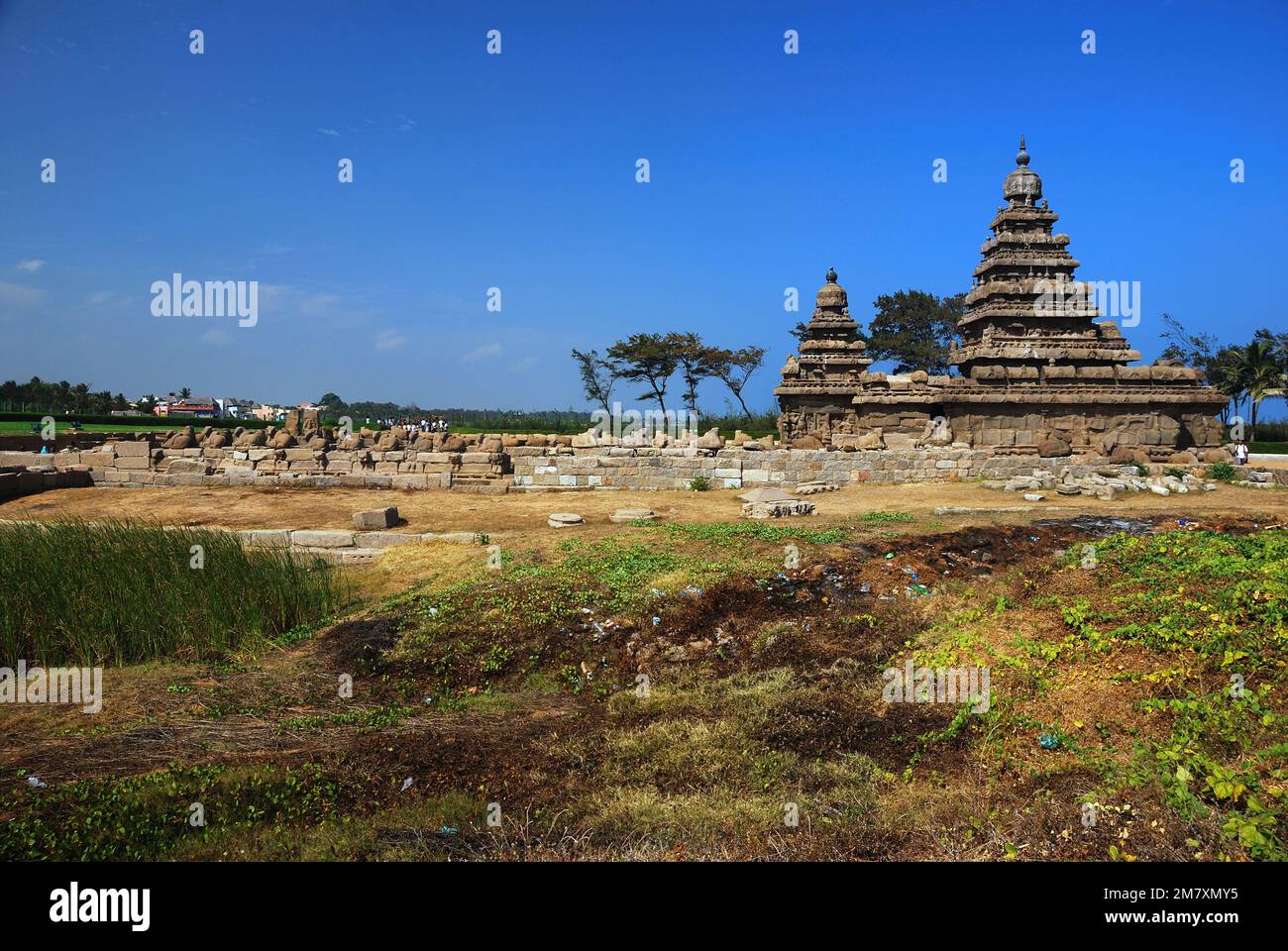 Pallava shore temple hi-res stock photography and images - Alamy