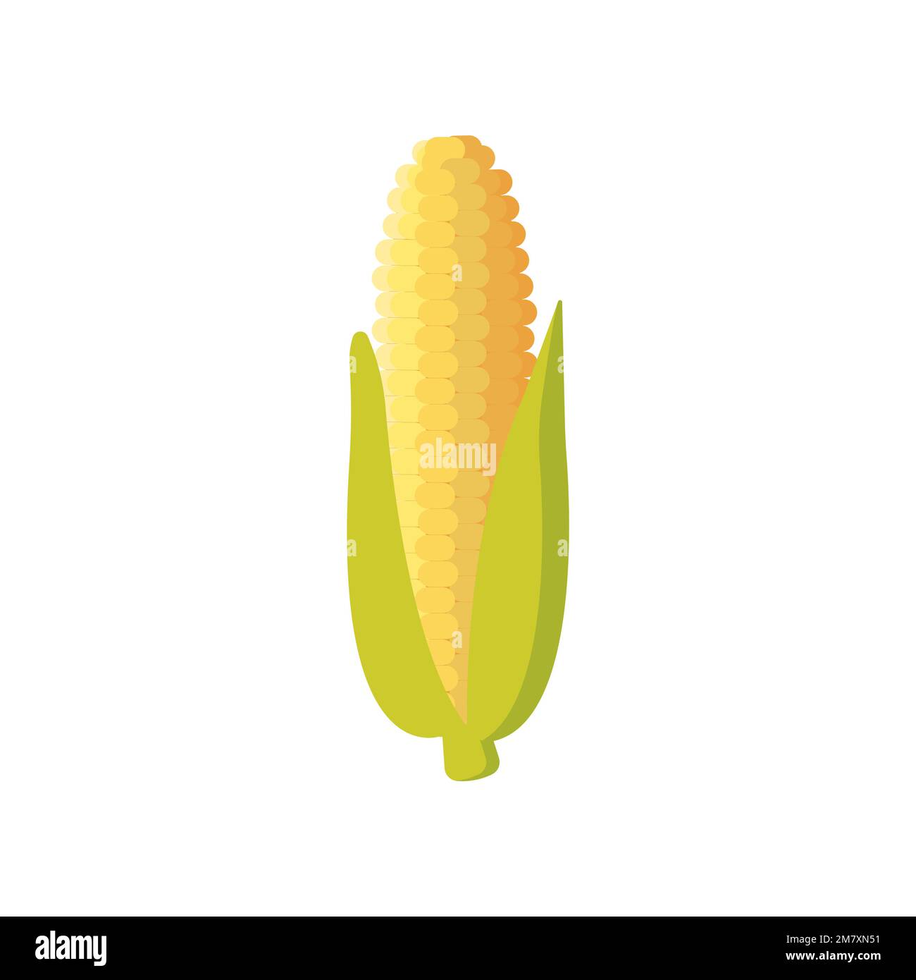 Corn icon. maize isolated on white background. Vector illustration. Eps ...