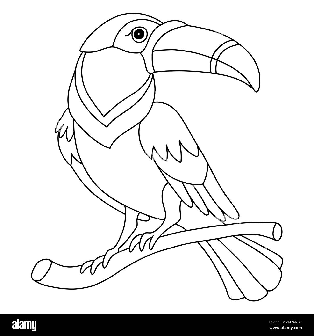 Toucan tangle design. Hand drawn doodle vector illustration. Template ...