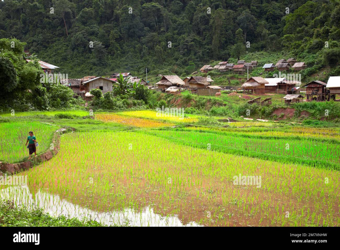 Khamu laos hi-res stock photography and images - Alamy