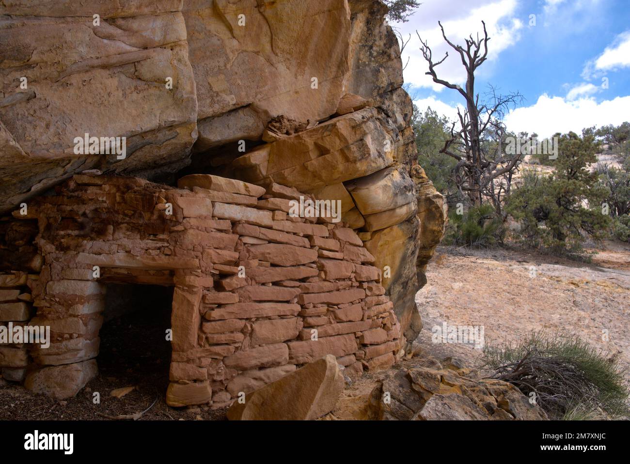 An ancient grain and corn storage facility from around 1000 AD in Bears ...