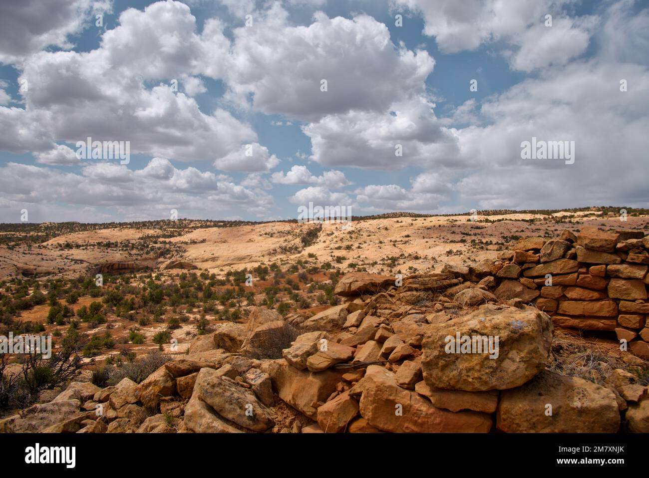 Crumbled watchtower on a cliff directly south of the Butler Wash Ruins ...