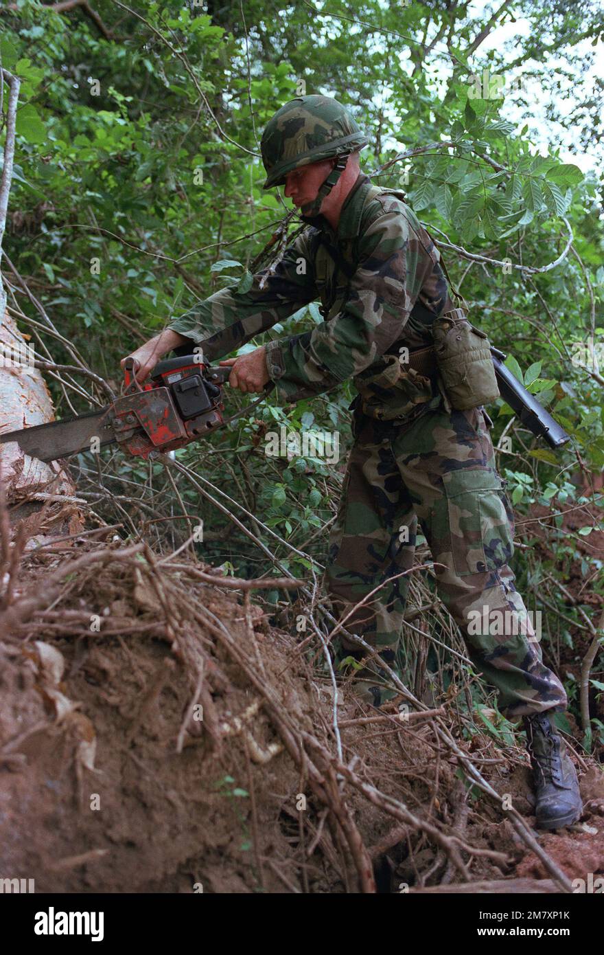 SPECIALIST Fourth Class Williamson, a heavy equipment operator with the ...